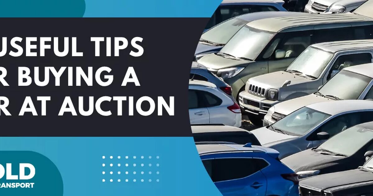 Tips for Buying a Car at Auction | Bold Auto Transport
